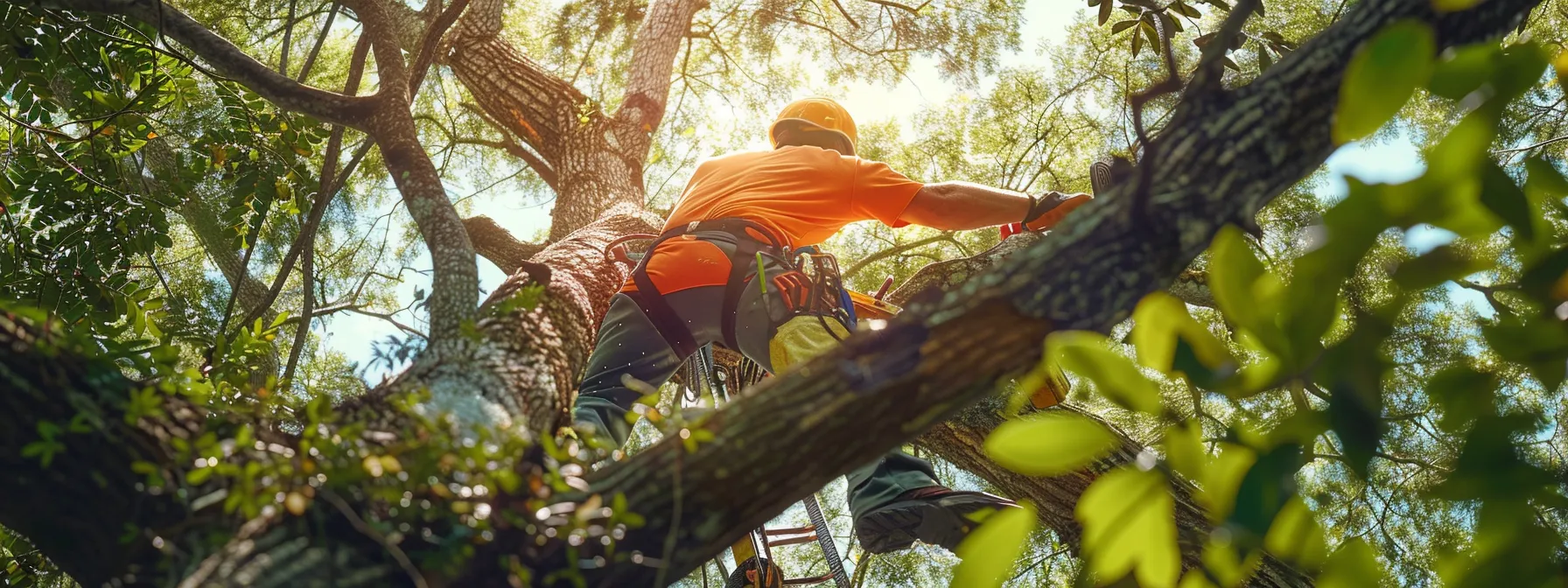 Tree Cutting Services: Enhance Landscape Health & Safety